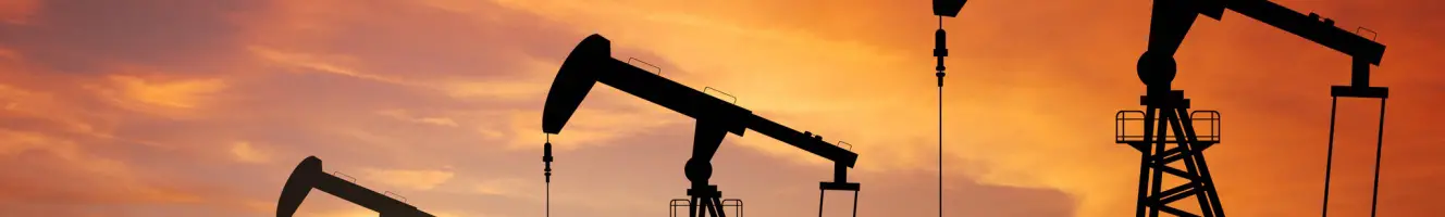 Gaz naturel | Combustibles fossiles